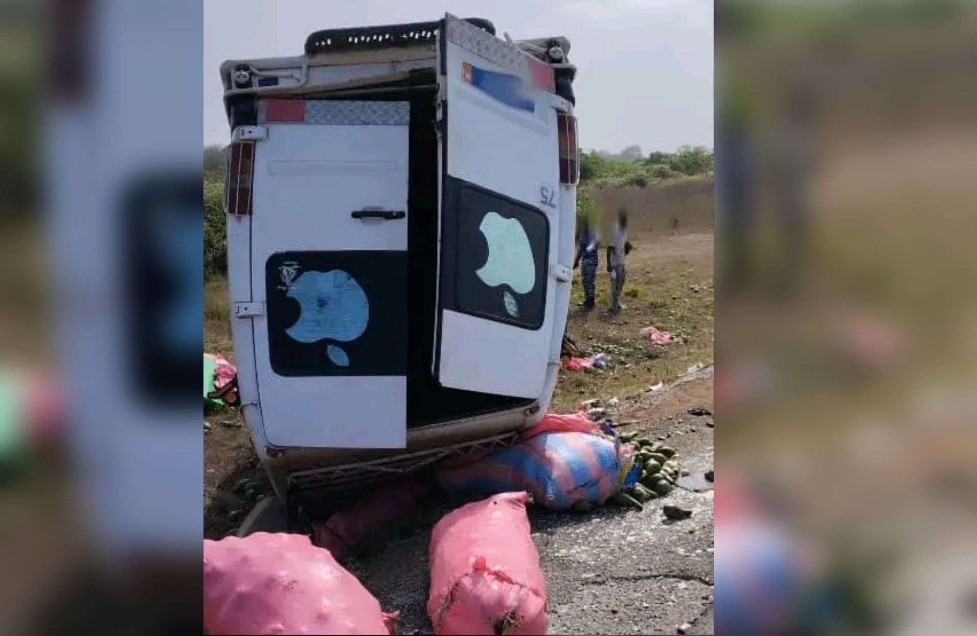 Côte d'Ivoire : Quatre individus pris en flagrant délit de défrichement ...